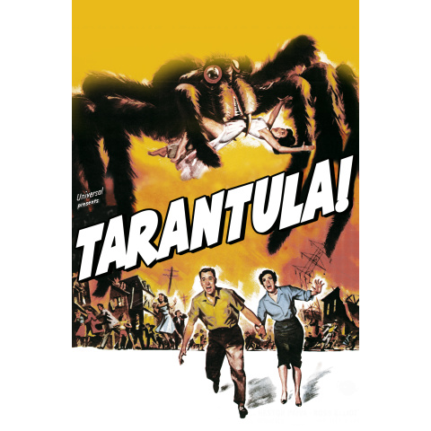 TARANTULA｜最新の映画・ドラマ・アニメを見るならmusic.jp